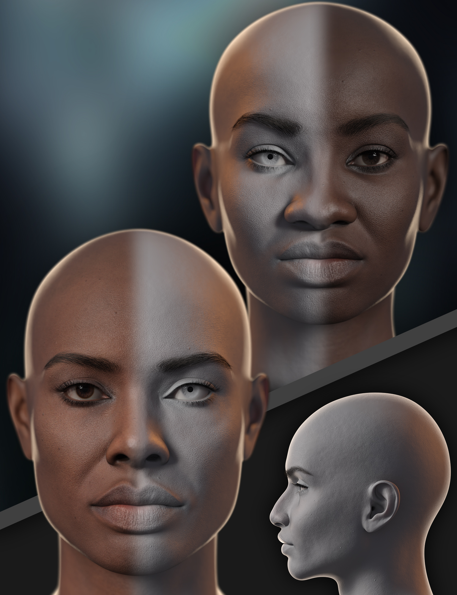 Head Shapes Feminine for Genesis 9 | Daz 3D