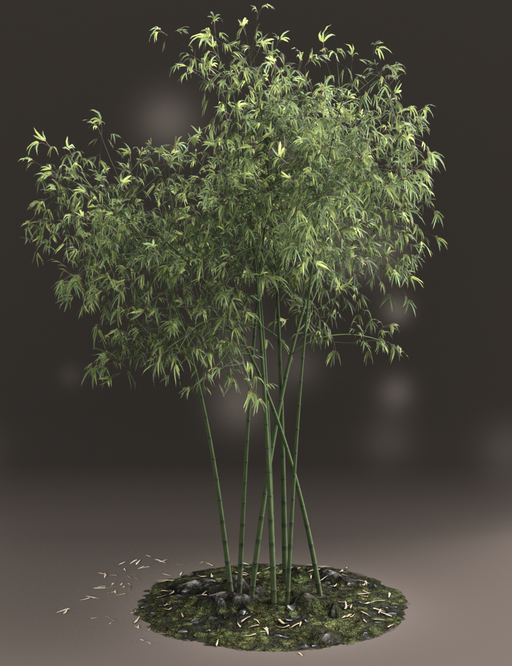 V176 Bamboo Pack | Daz 3D