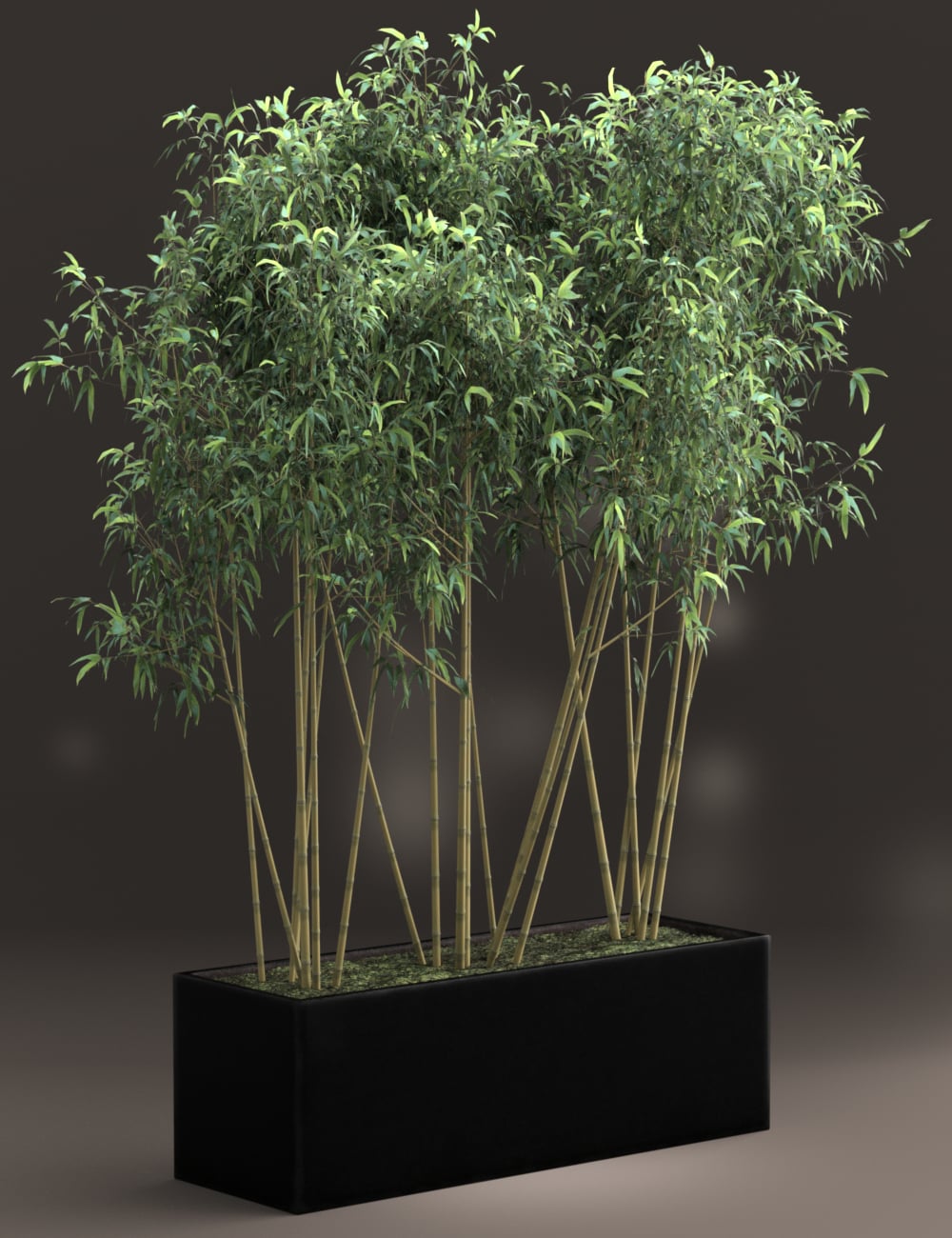 V176 Bamboo Pack | Daz 3D