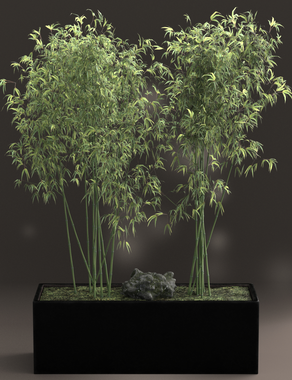 V176 Bamboo Pack | Daz 3D