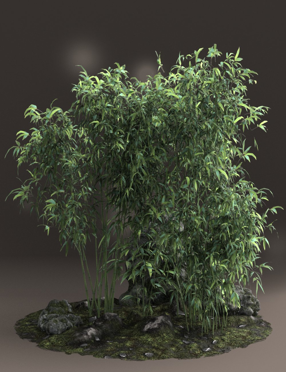 V176 Bamboo Pack | Daz 3D