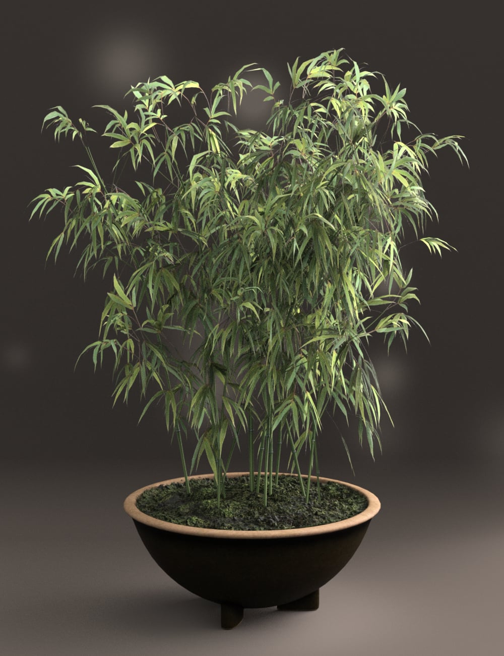 V176 Bamboo Pack | Daz 3D