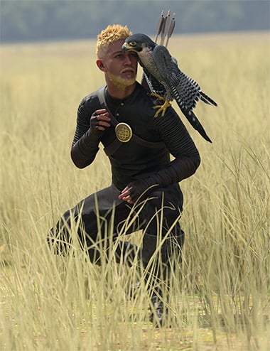 Falcon Whisperer Poses for Genesis 9 Base and DS Peregrine Falcon | Daz 3D