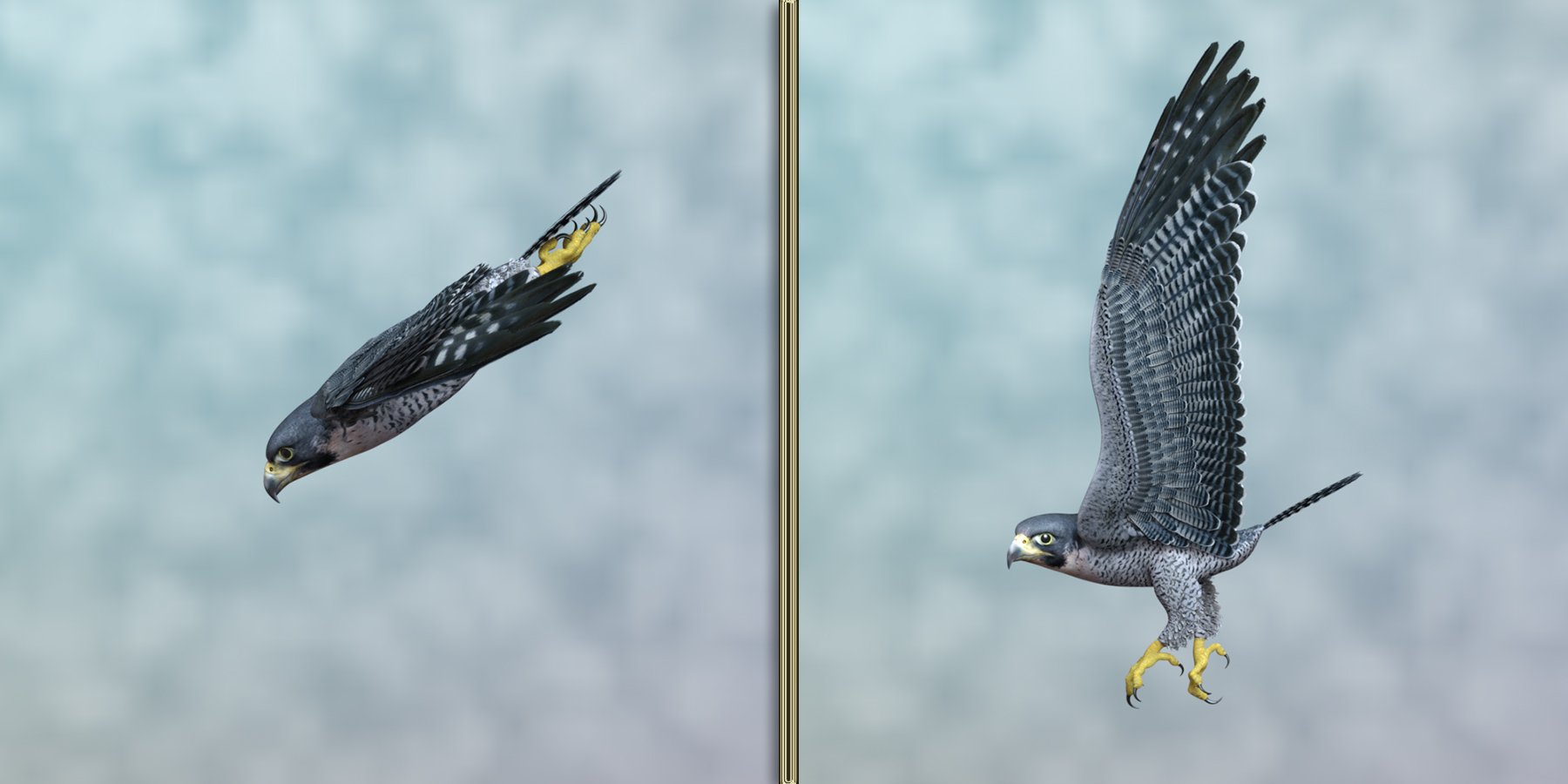 Falconry Redux Poses for DS Peregrine Falcon | Daz 3D