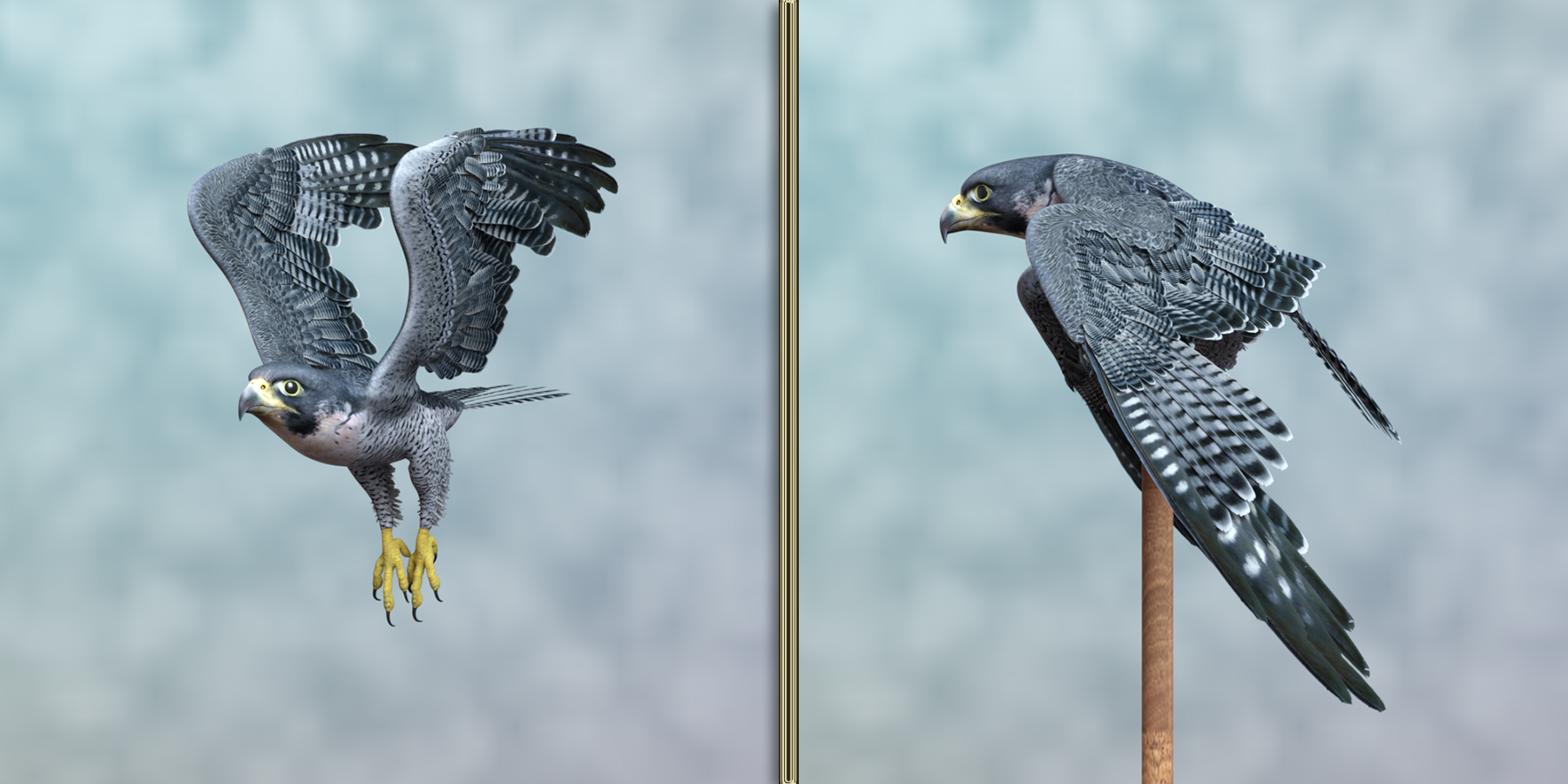 Falconry Redux Poses for DS Peregrine Falcon | Daz 3D