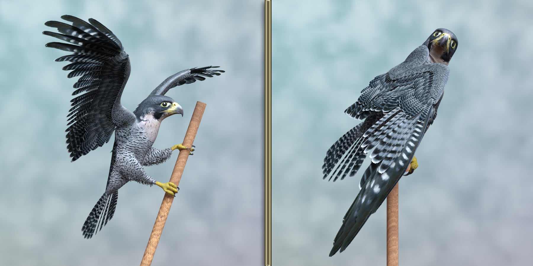 Falconry Redux Poses for DS Peregrine Falcon | Daz 3D