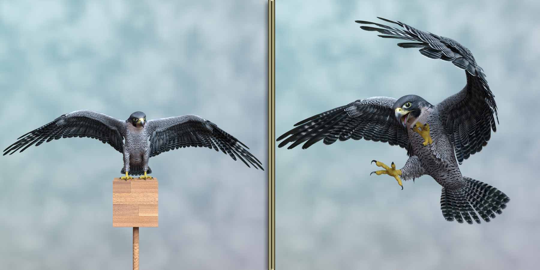 Falconry Redux Poses for DS Peregrine Falcon | Daz 3D