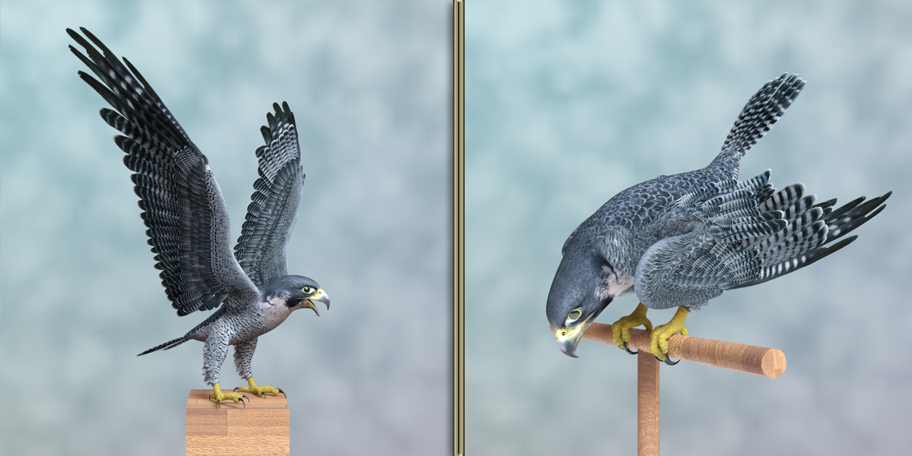 Falconry Redux Poses for DS Peregrine Falcon | Daz 3D