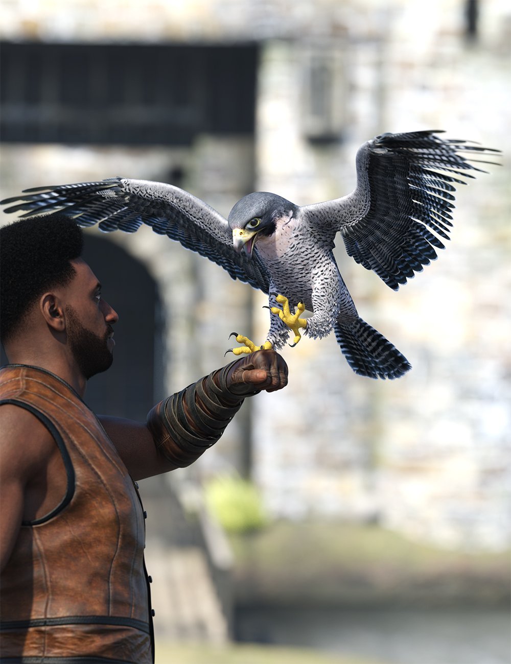Falconry Bundle | Daz 3D