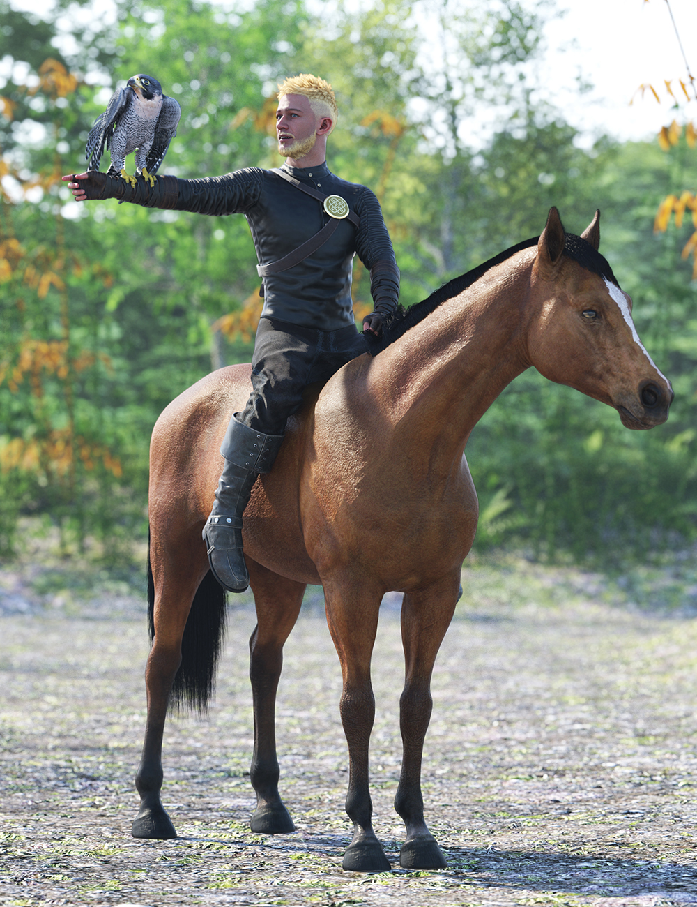 Falconry Bundle | Daz 3D