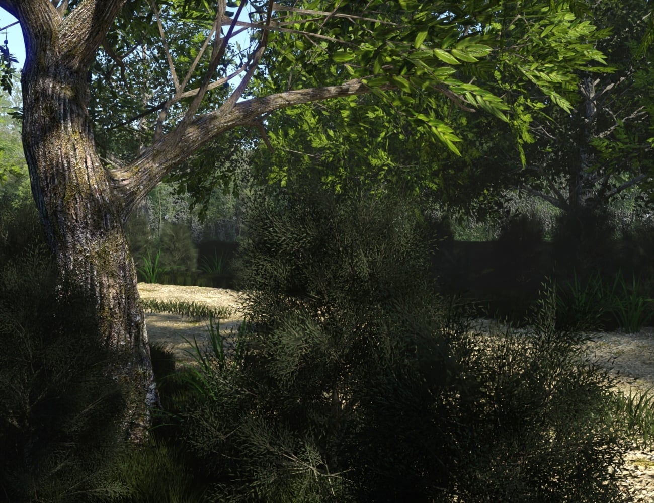 My Dirt Road | Daz 3D