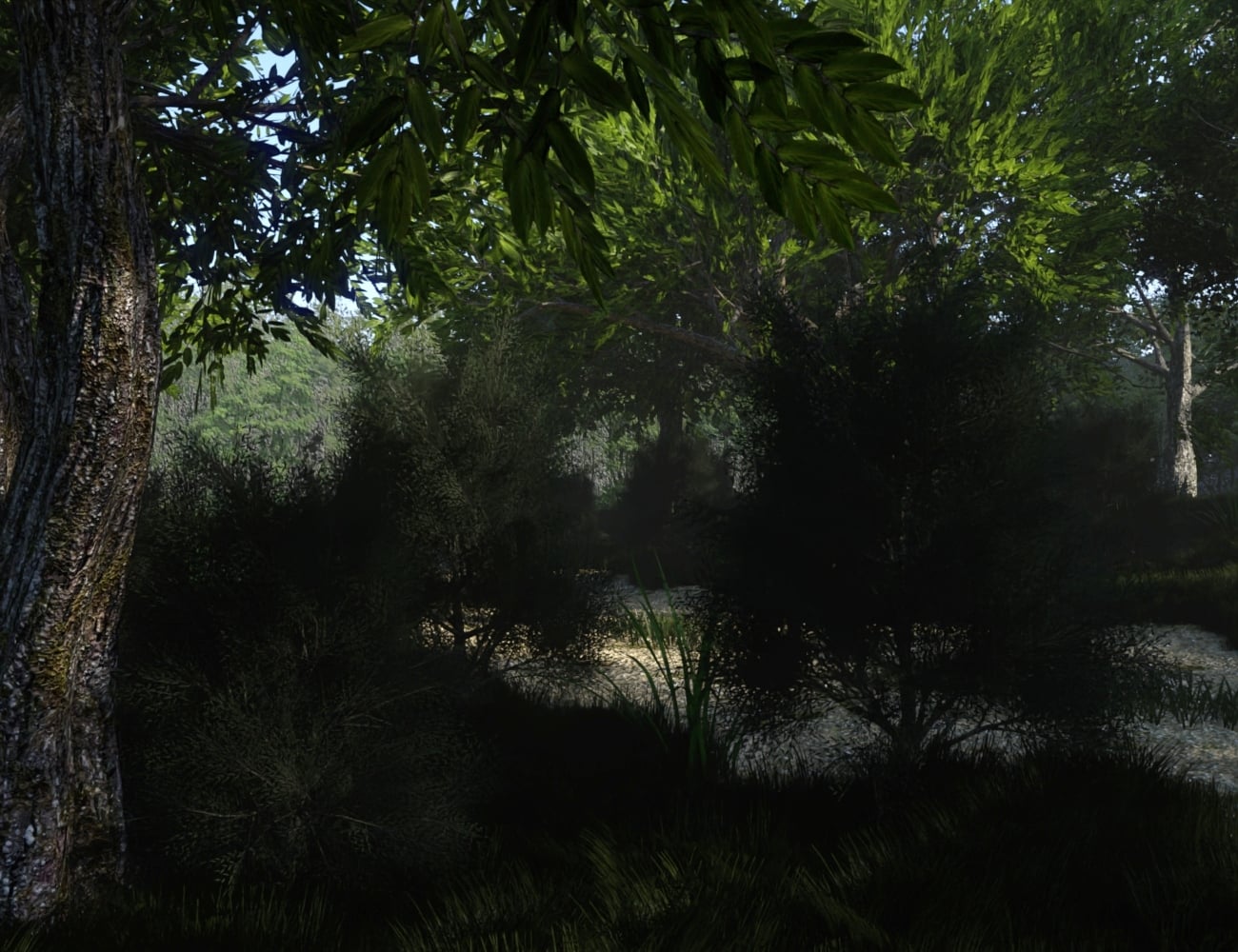 My Dirt Road | Daz 3D