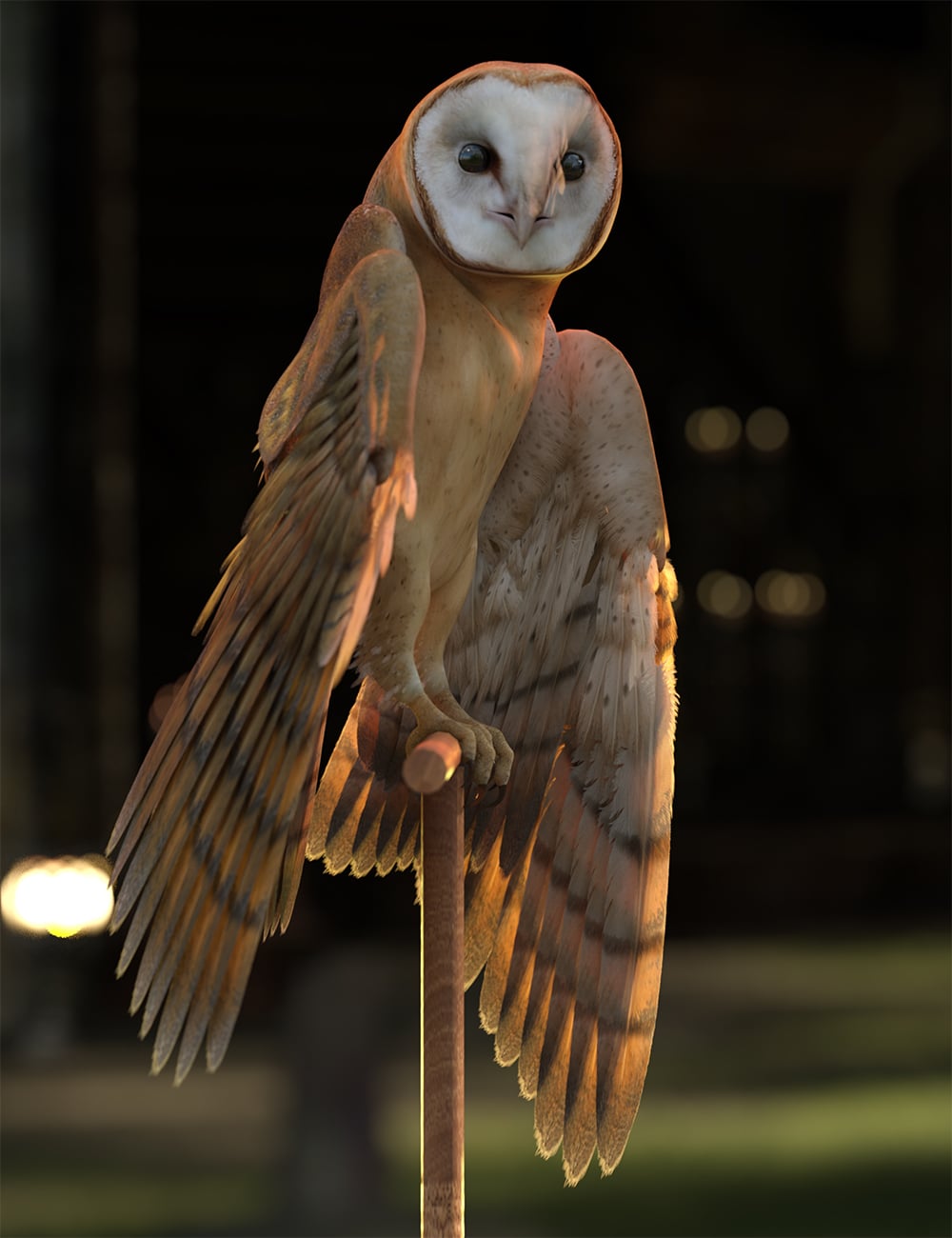 Magic Messenger Poses for DS Magic Owl | Daz 3D