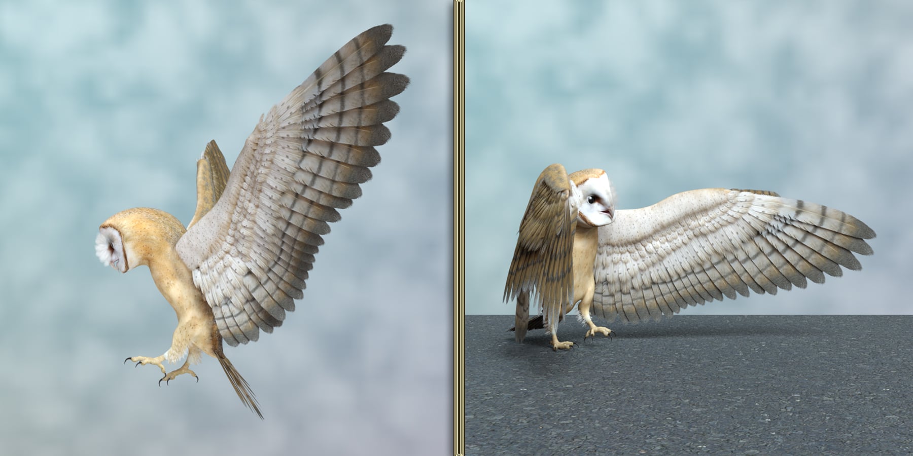 Magic Messenger Poses for DS Magic Owl | Daz 3D