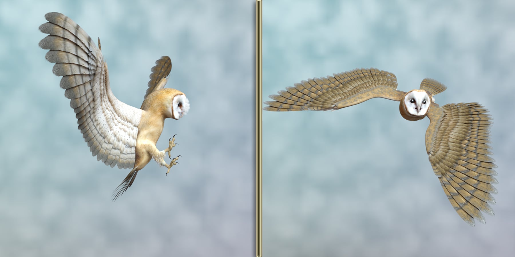 Magic Messenger Poses for DS Magic Owl | Daz 3D