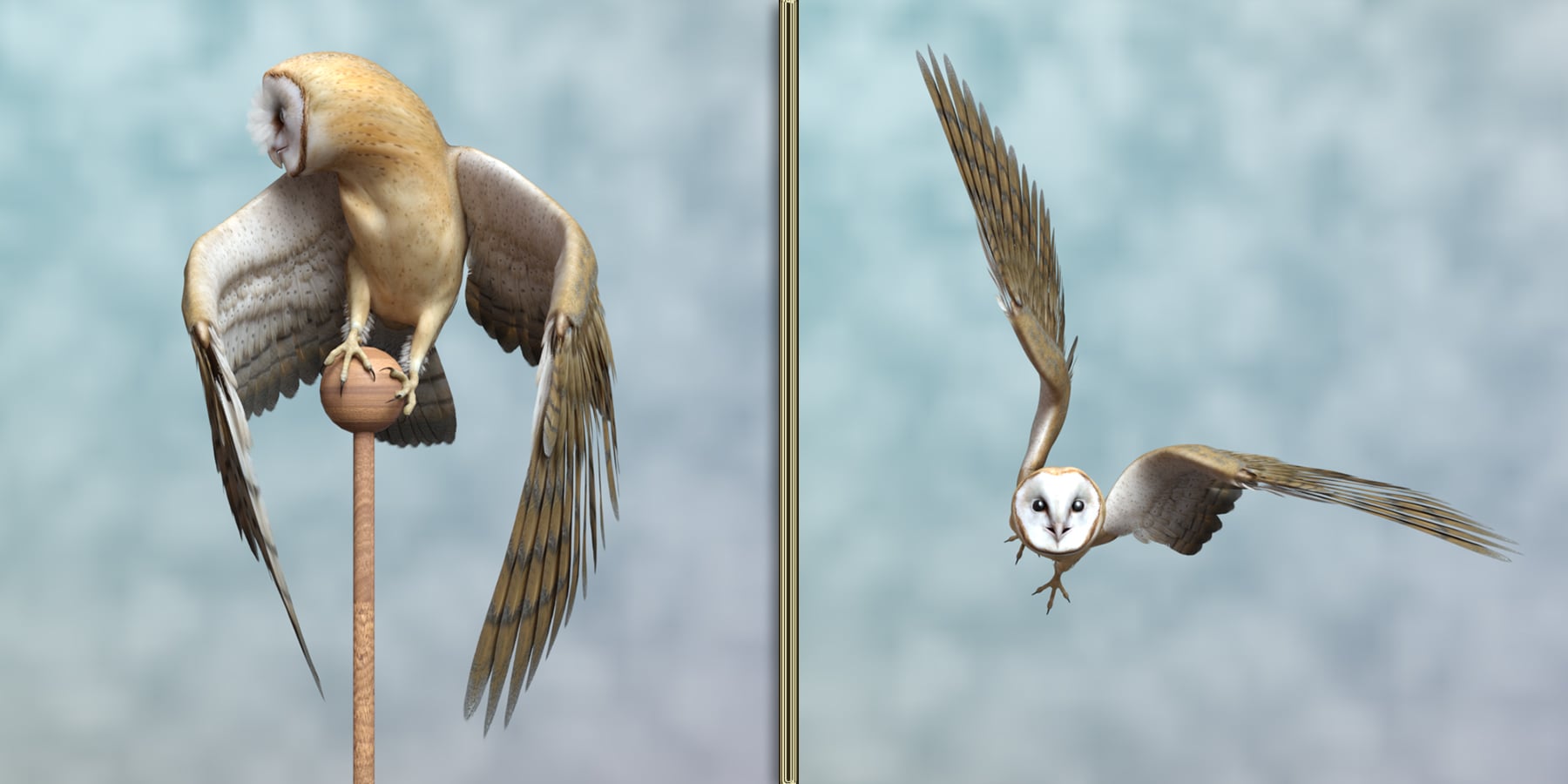 Magic Messenger Poses for DS Magic Owl | Daz 3D
