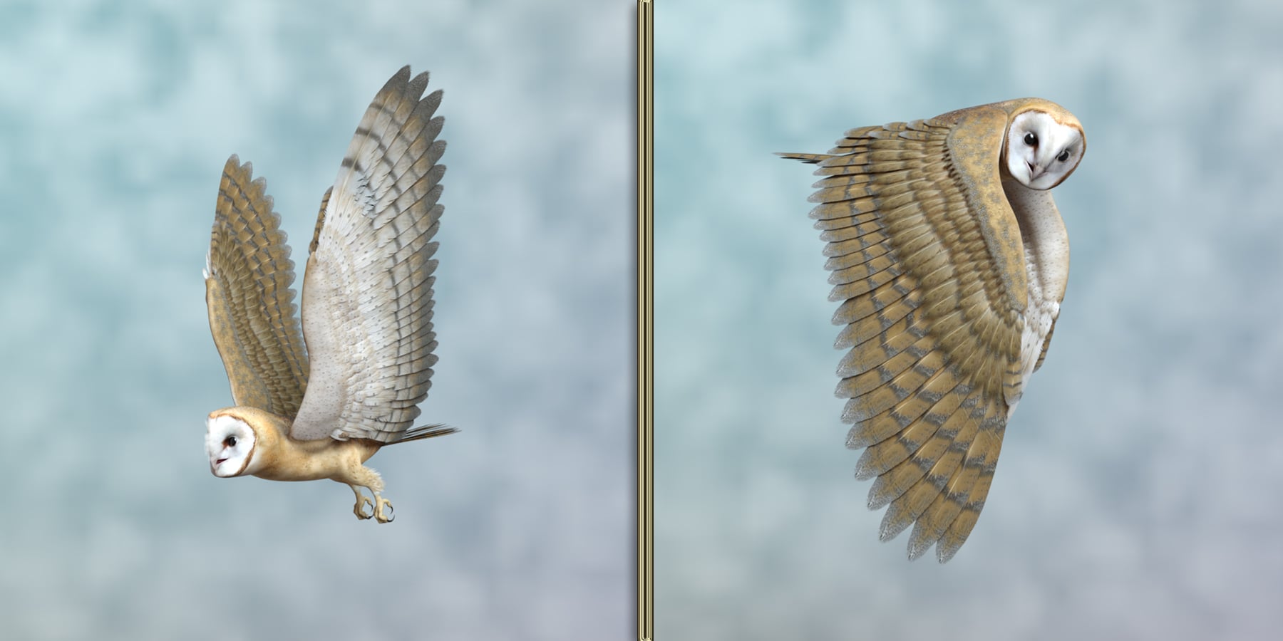 Magic Messenger Poses for DS Magic Owl | Daz 3D