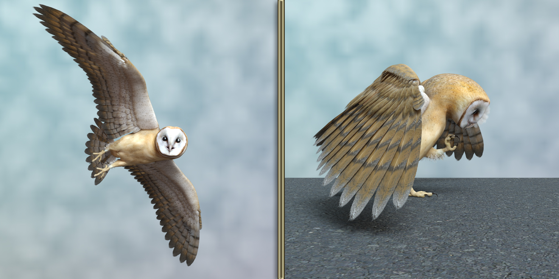 Magic Messenger Poses for DS Magic Owl | Daz 3D