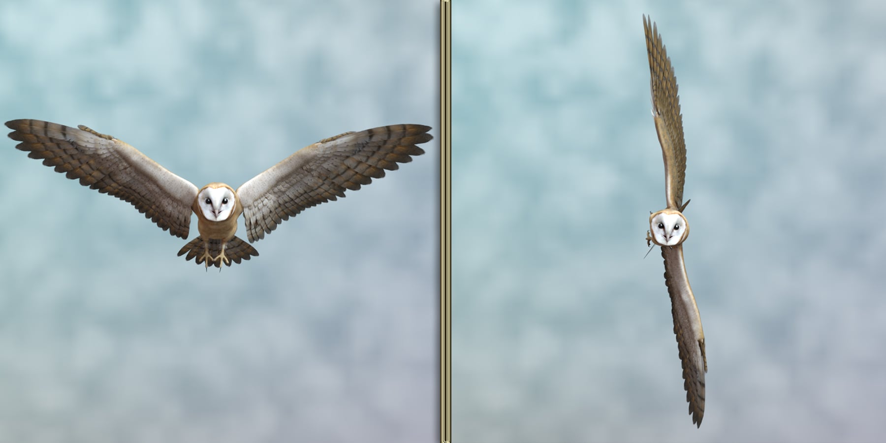 Magic Messenger Poses for DS Magic Owl | Daz 3D