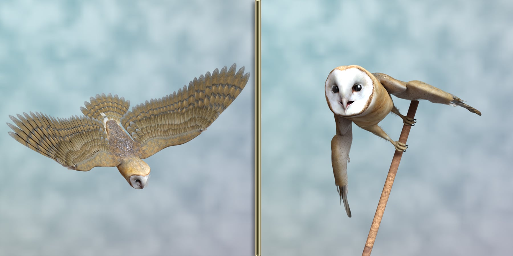 Magic Messenger Poses for DS Magic Owl | Daz 3D