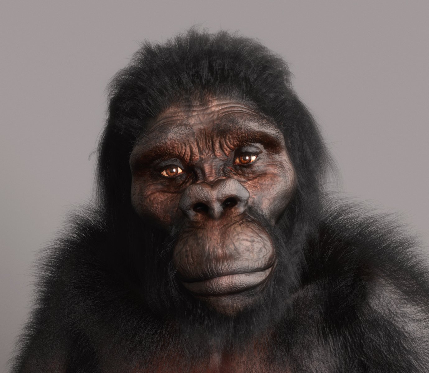 Australopithecus for Genesis 9 | Daz 3D