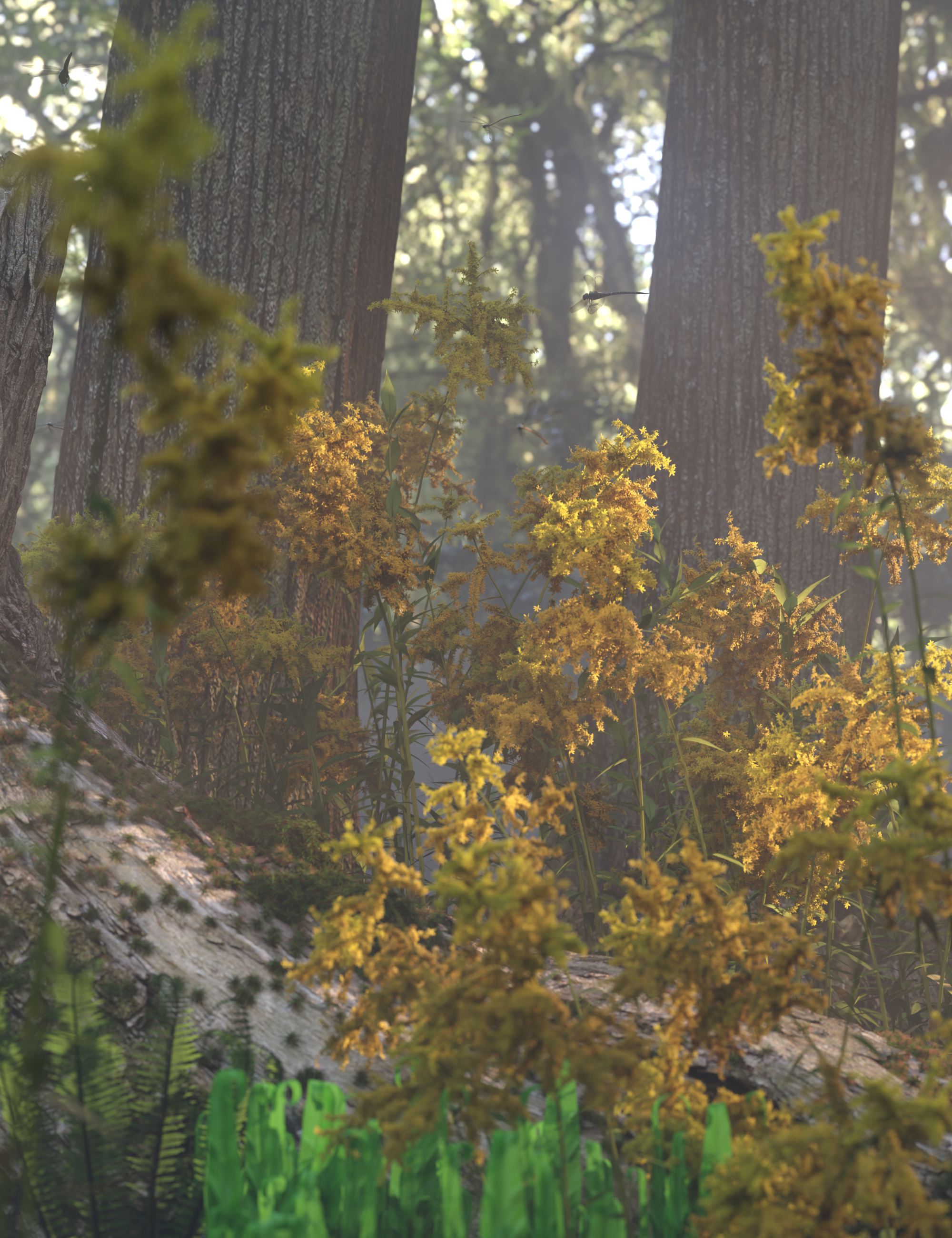 Golden Rod - Prairie Wild Flowers | Daz 3D