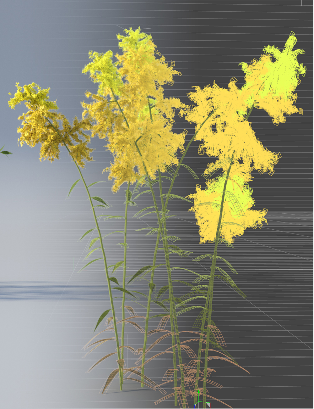 Golden Rod - Prairie Wild Flowers | Daz 3D