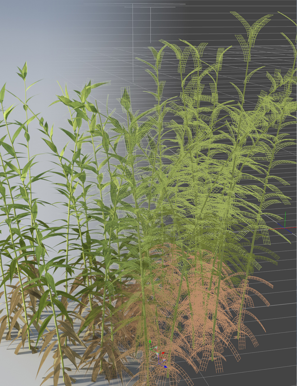 Golden Rod - Prairie Wild Flowers | Daz 3D