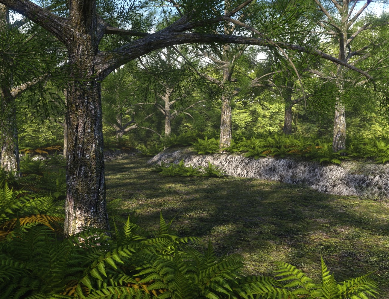 Fern Grove | Daz 3D