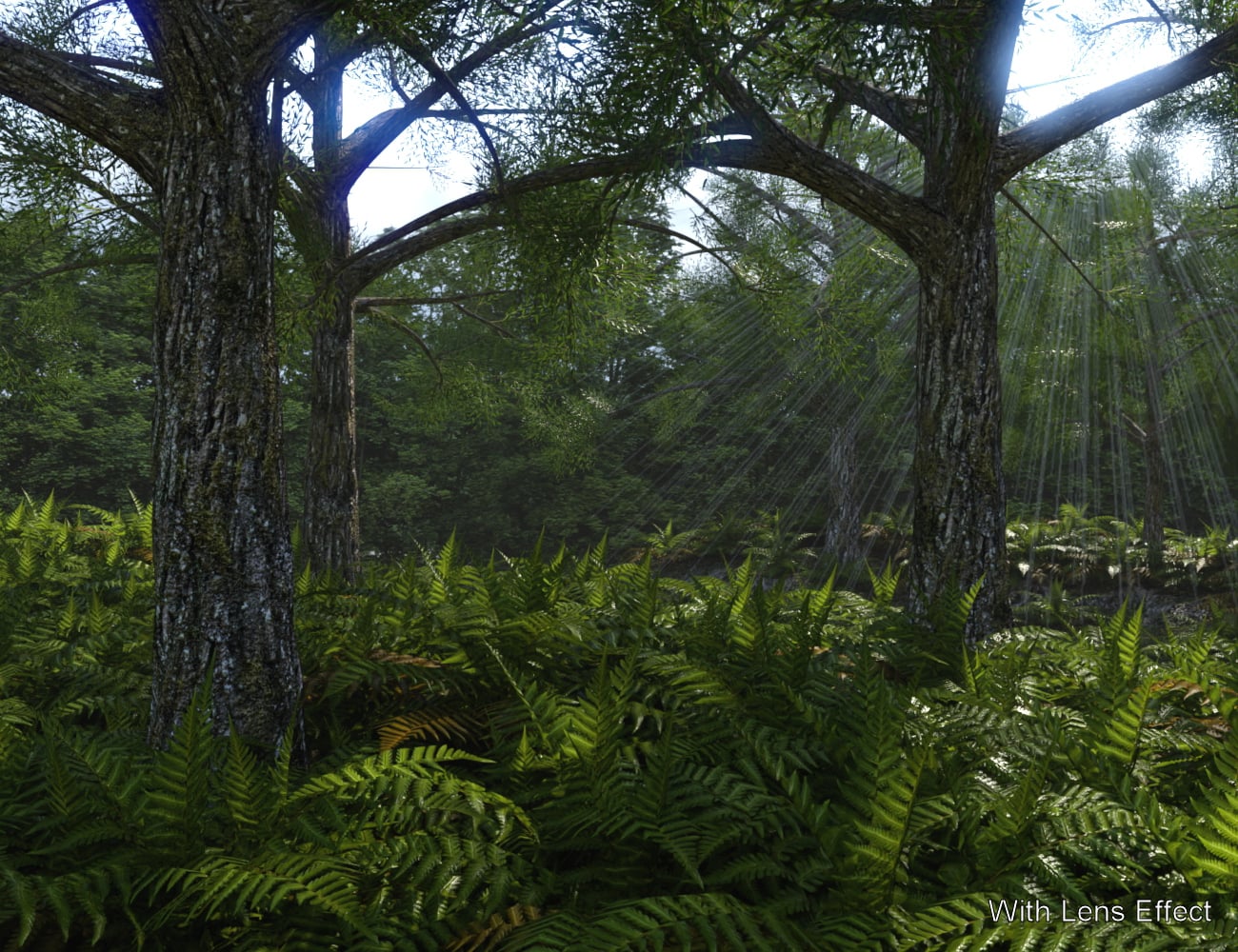 Fern Grove | Daz 3D