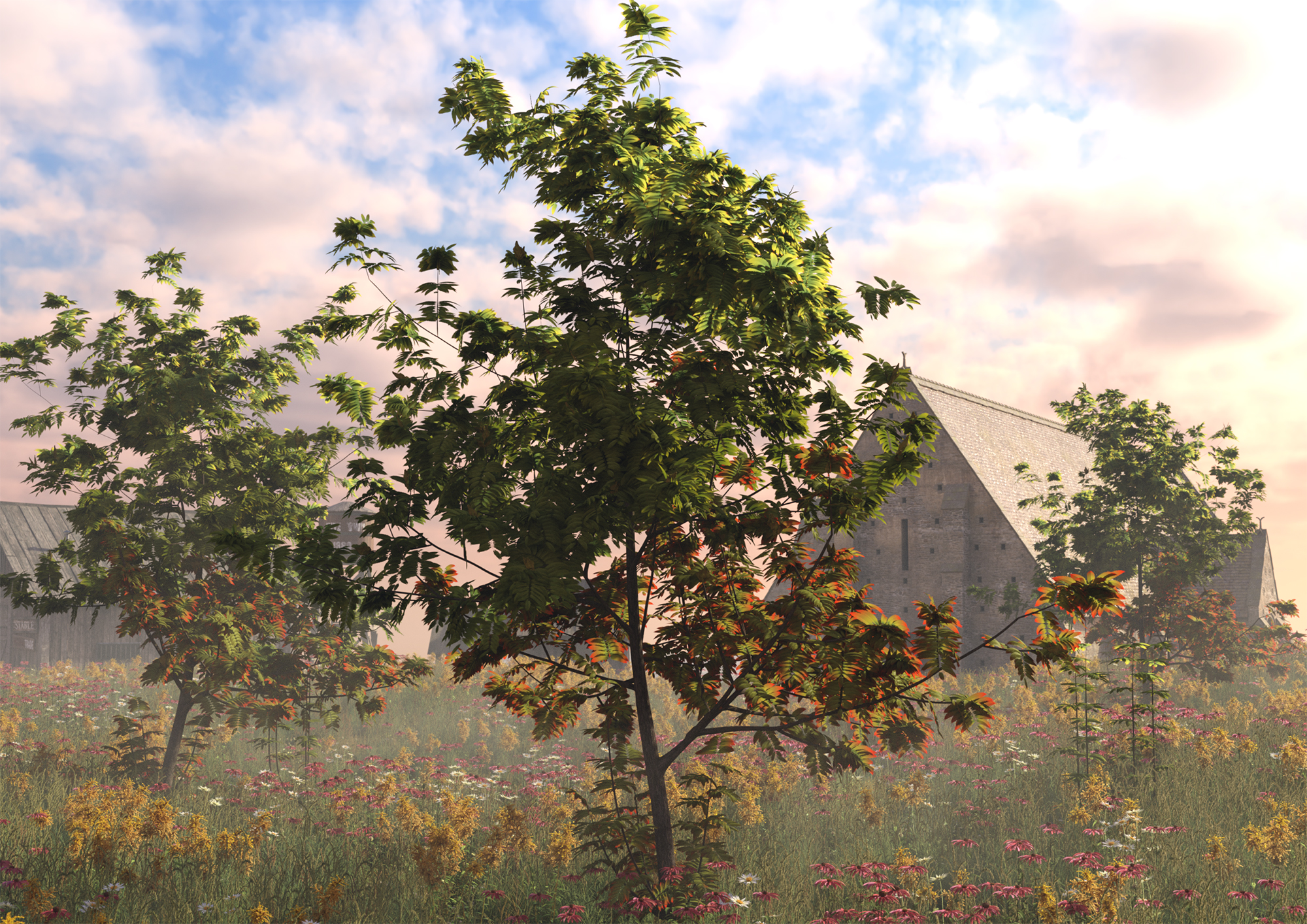 Prairie Shrubs and Trees - Sumac | Daz 3D