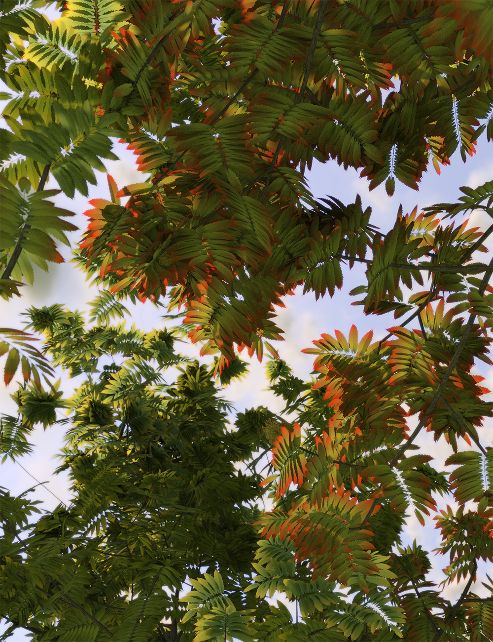 Prairie Shrubs and Trees - Sumac | Daz 3D