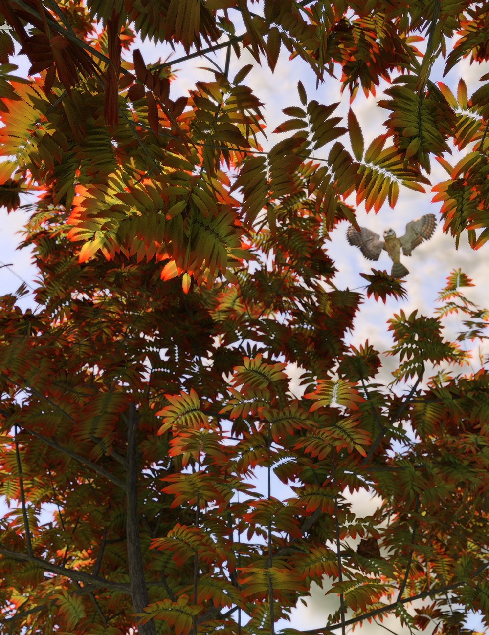 Prairie Shrubs and Trees - Sumac | Daz 3D