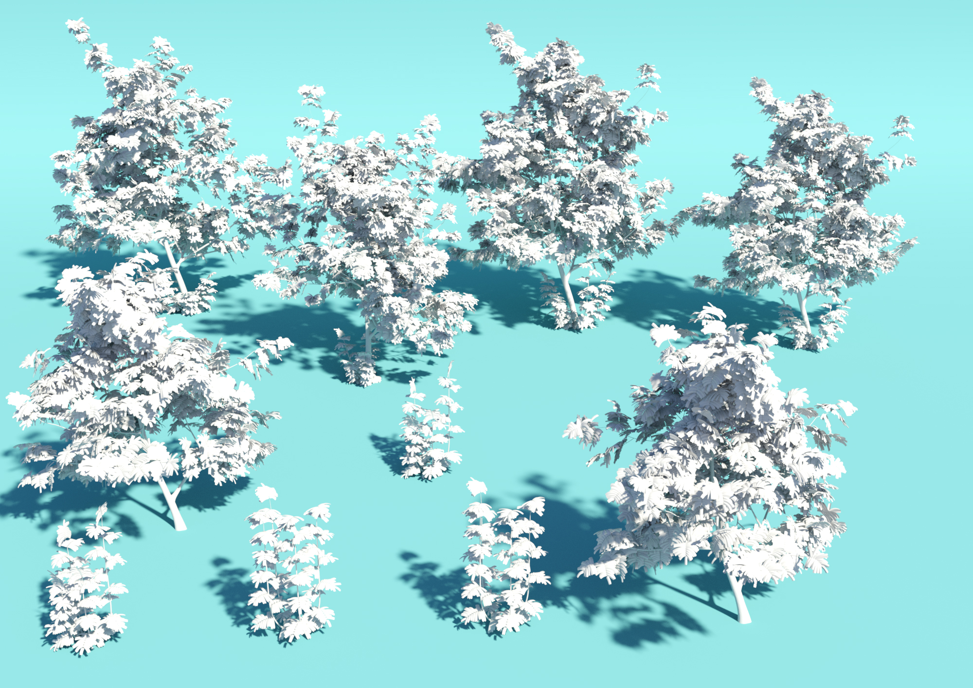Prairie Shrubs and Trees - Sumac | Daz 3D