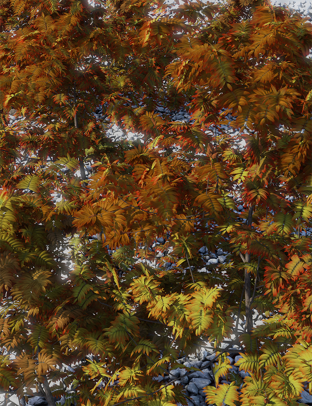 Prairie Shrubs and Trees - Sumac | Daz 3D