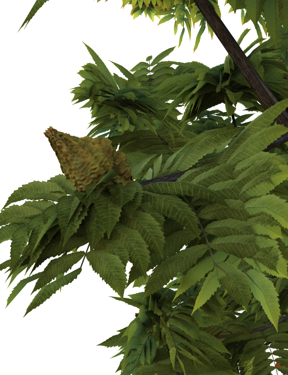 Prairie Shrubs and Trees - Sumac | Daz 3D