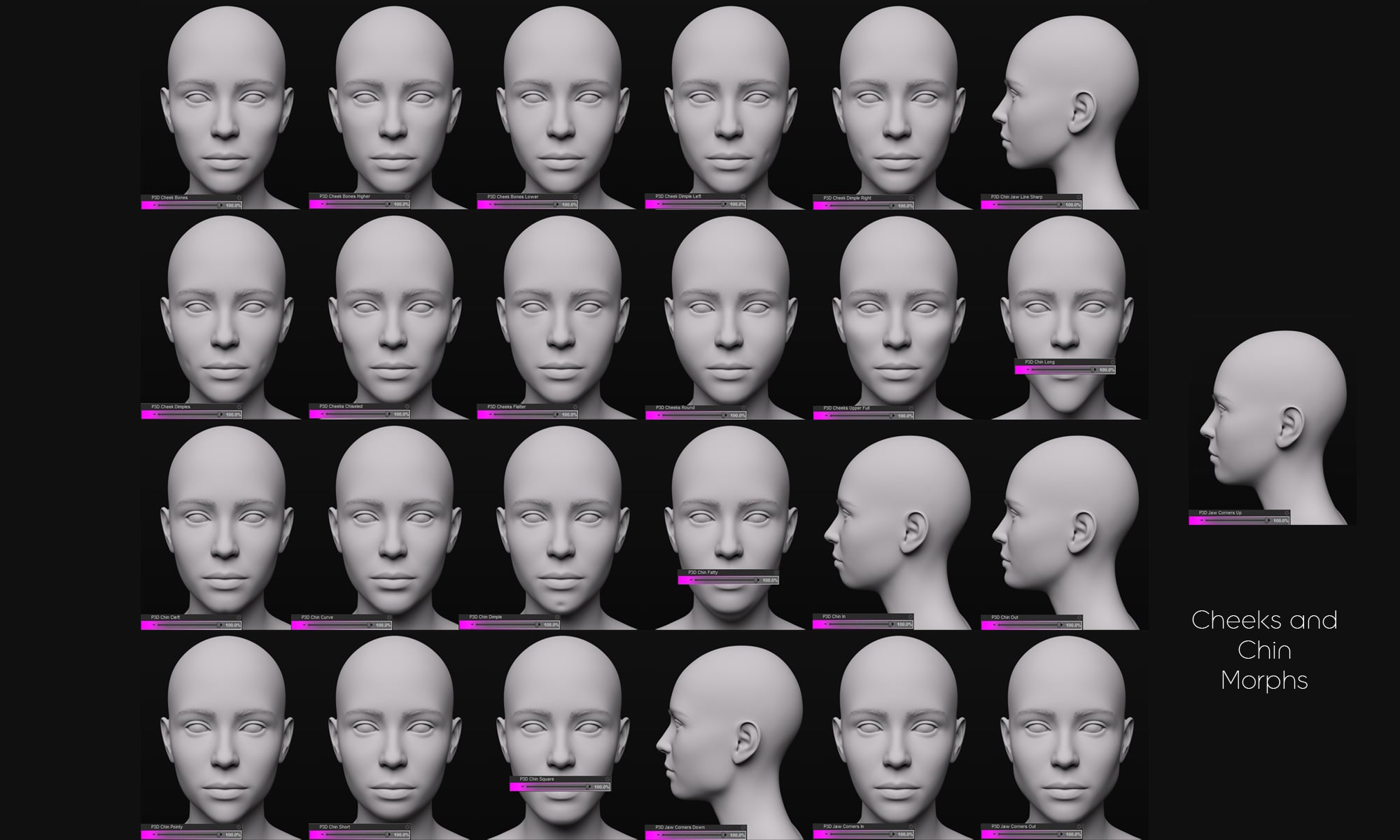 The Look Female Face Morph Resource for Genesis 9 | Daz 3D