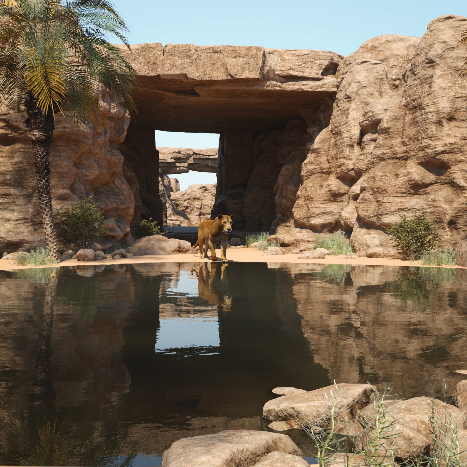 Arid Valley | Daz 3D