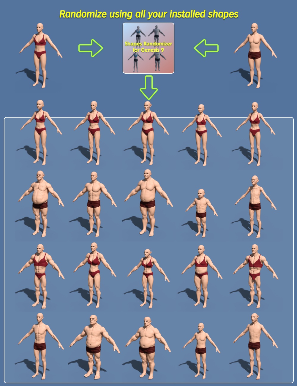 Shapes Randomizer For Genesis 9 | Daz 3D