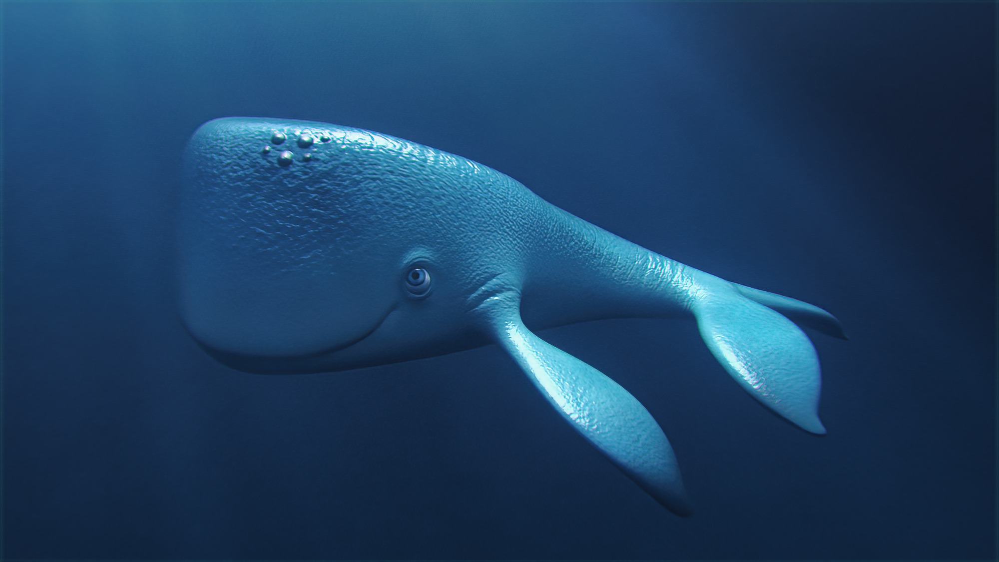LI Toon Whale | Daz 3D