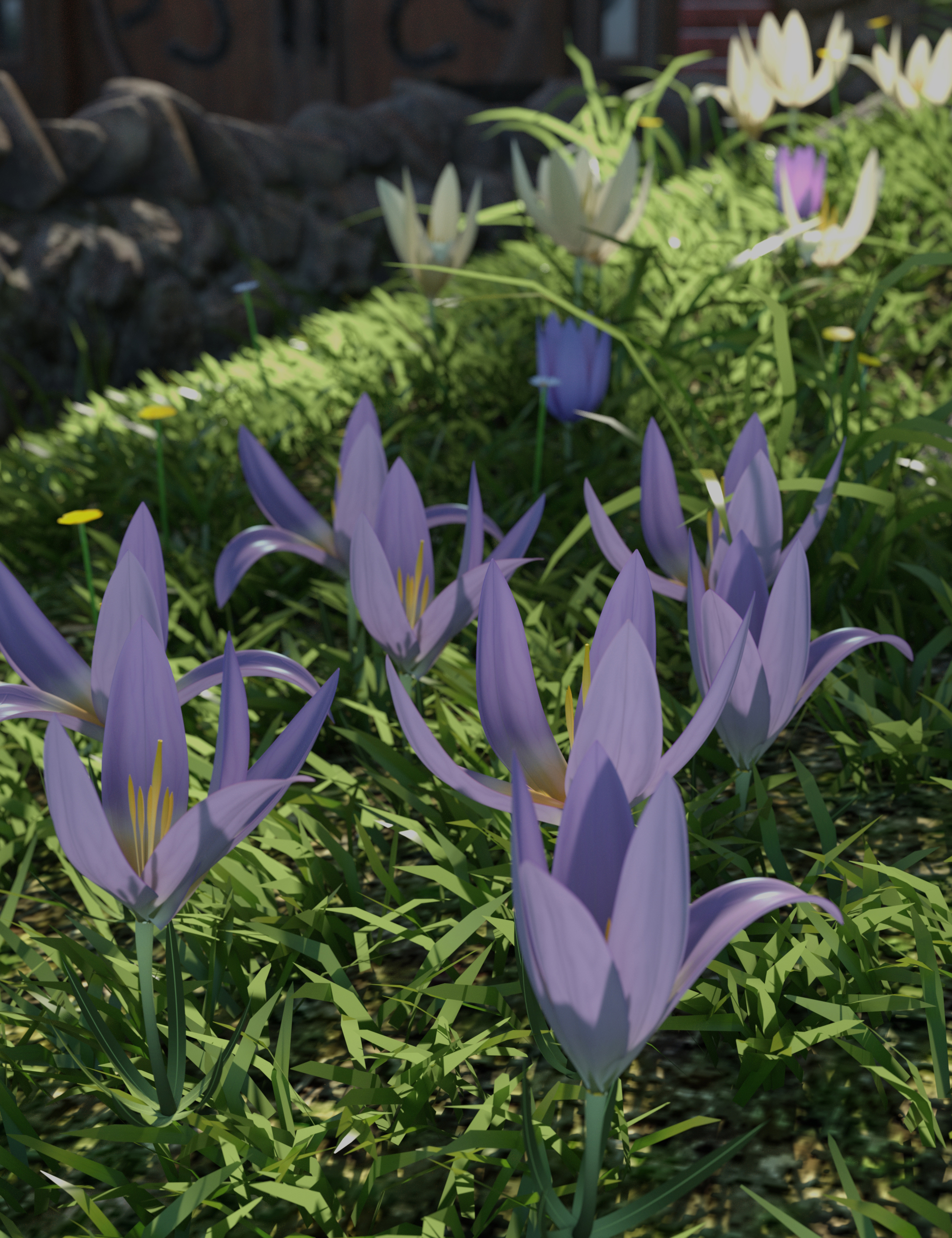 Crocus Plants - Spring Flowers | Daz 3D