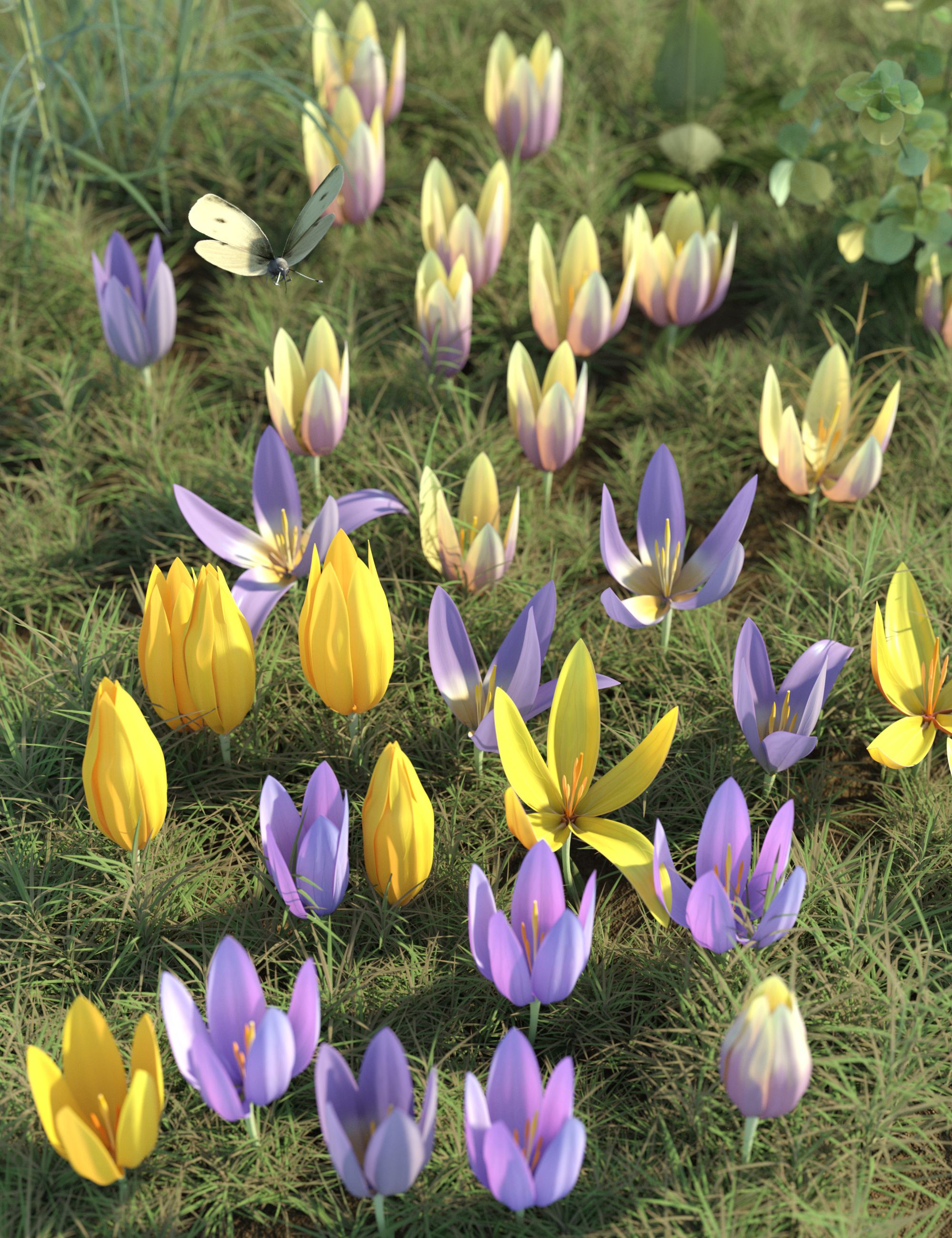 Crocus Plants - Spring Flowers | Daz 3D