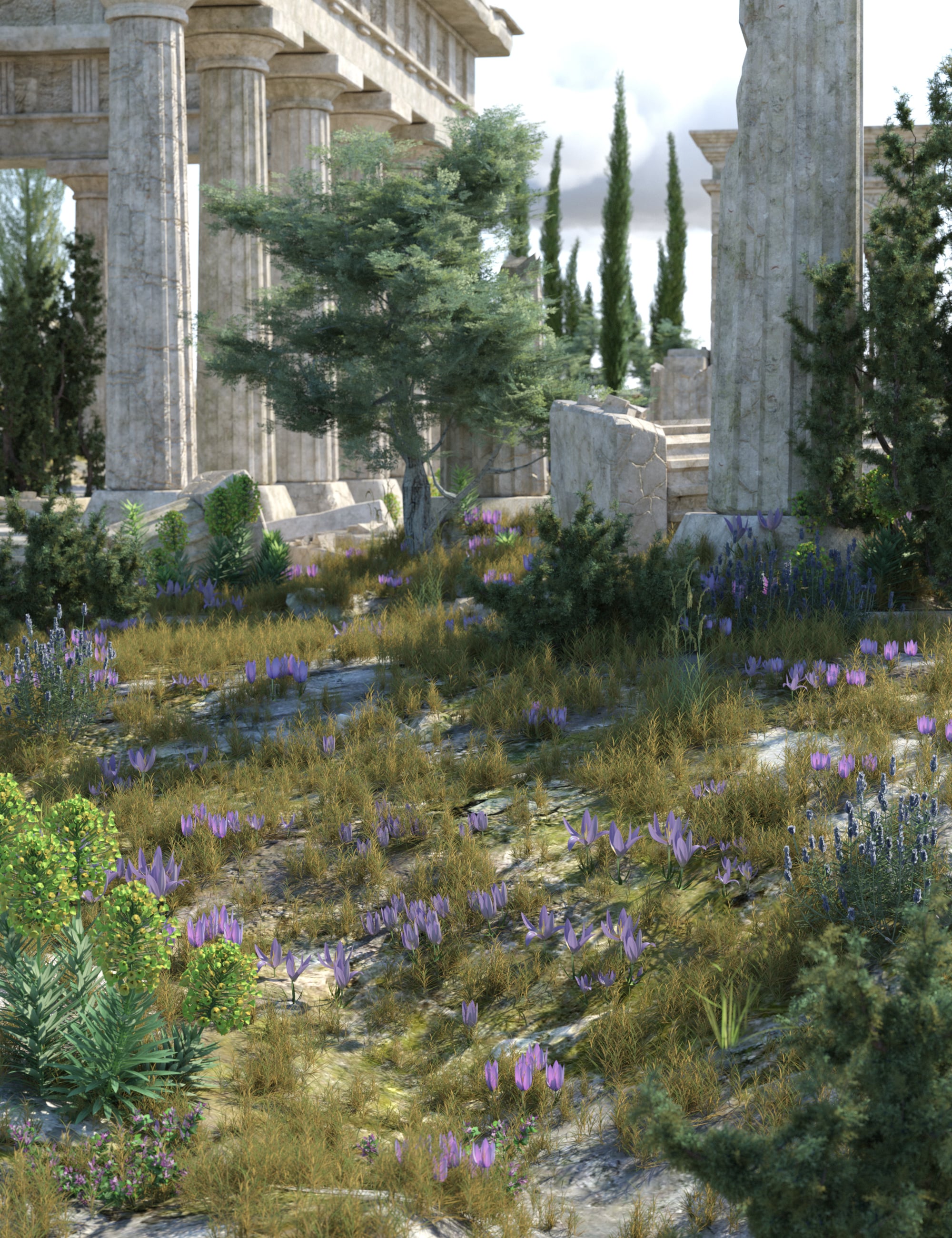 Crocus Plants - Spring Flowers | Daz 3D