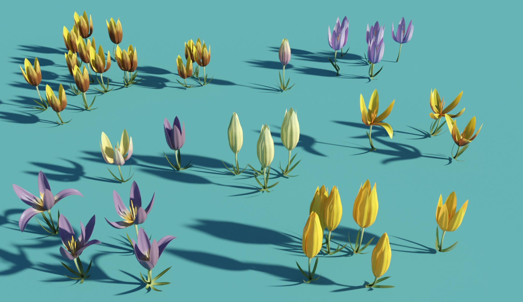 Crocus Plants - Spring Flowers | Daz 3D