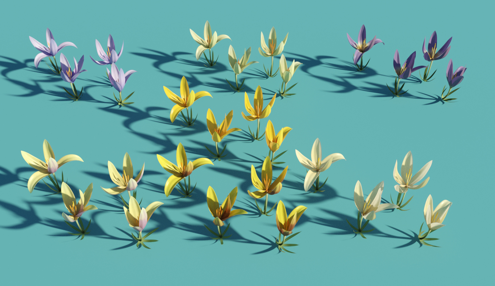 Crocus Plants - Spring Flowers | Daz 3D