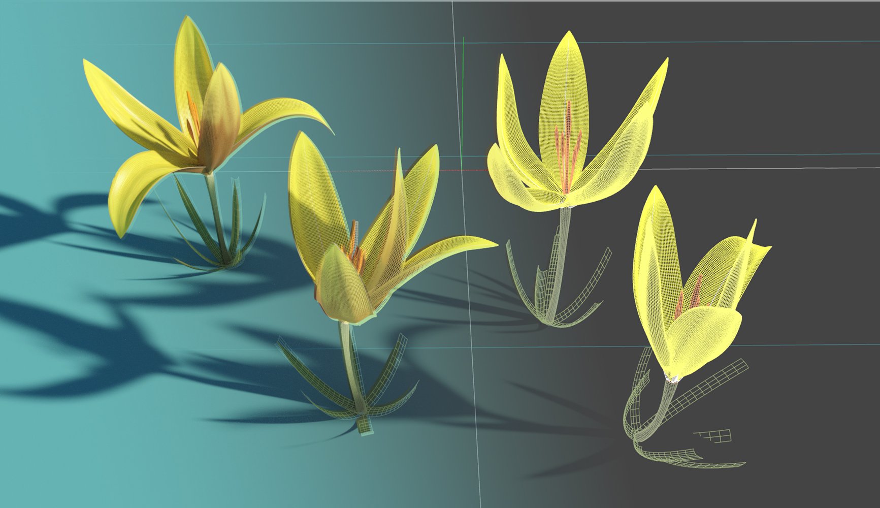 Crocus Plants - Spring Flowers | Daz 3D