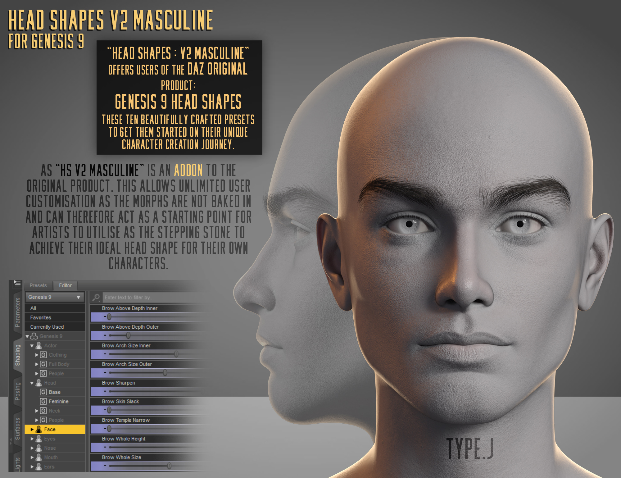 Head Shapes Vol.2 Masculine for Genesis 9 | Daz 3D