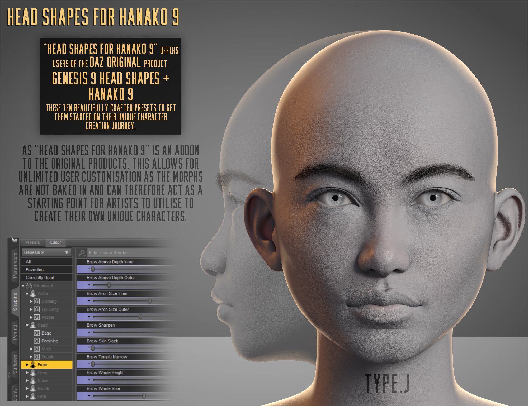 Head Shapes for Hanako 9 | Daz 3D
