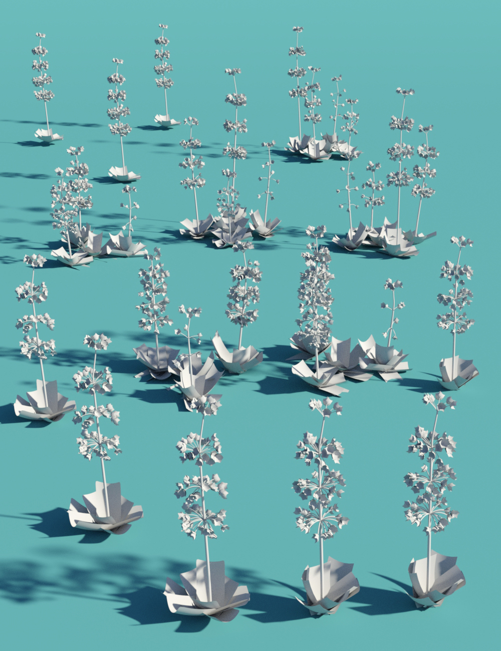 Candelabra Primula Flowers And Plants Daz 3d