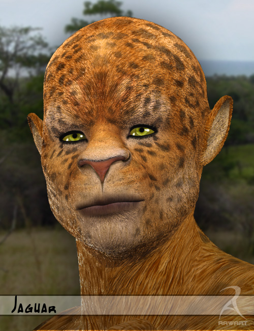 Cat World - Bundle Set | Daz 3D